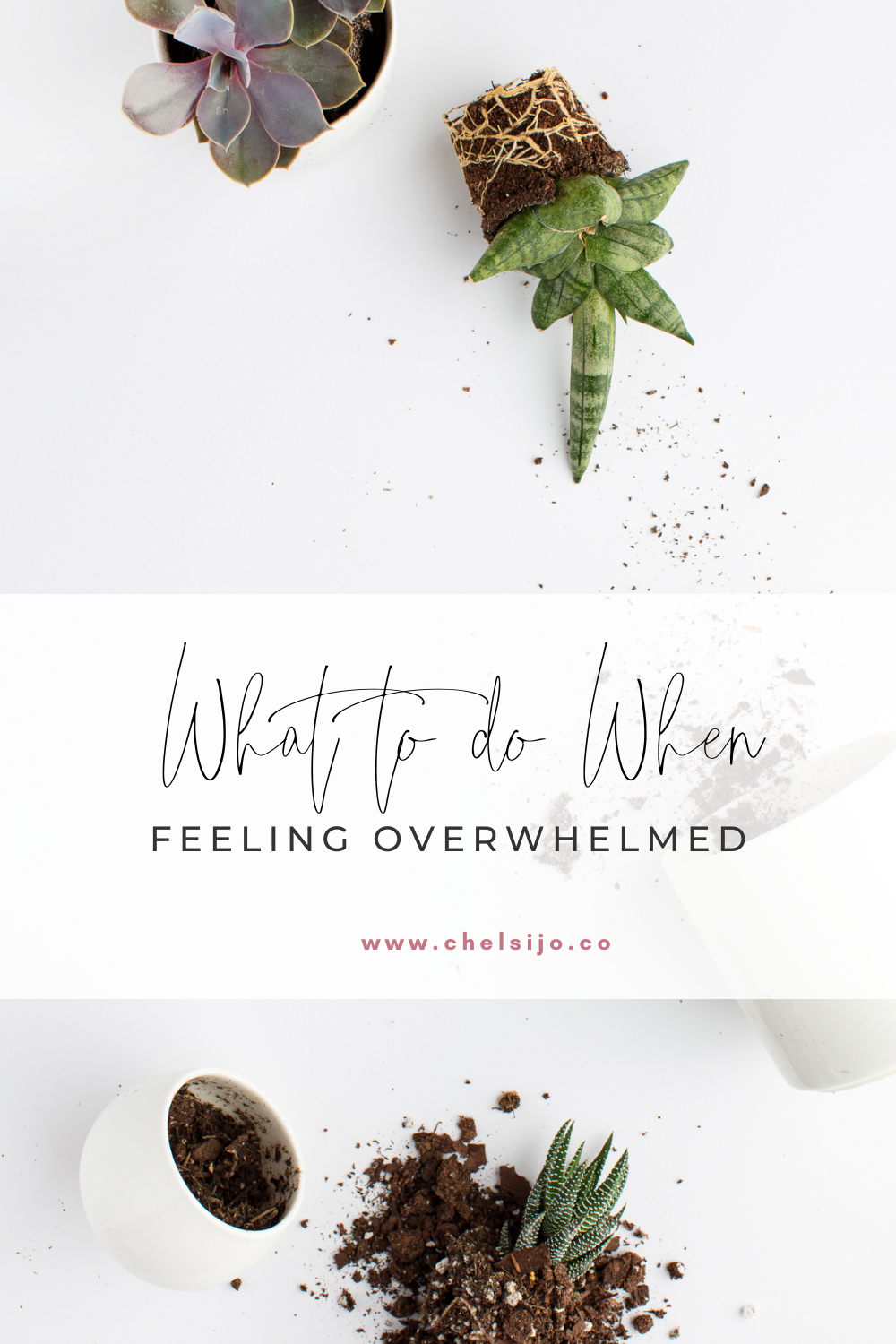 What to Do When Overwhelmed - The First Step to Take - chelsijo.co